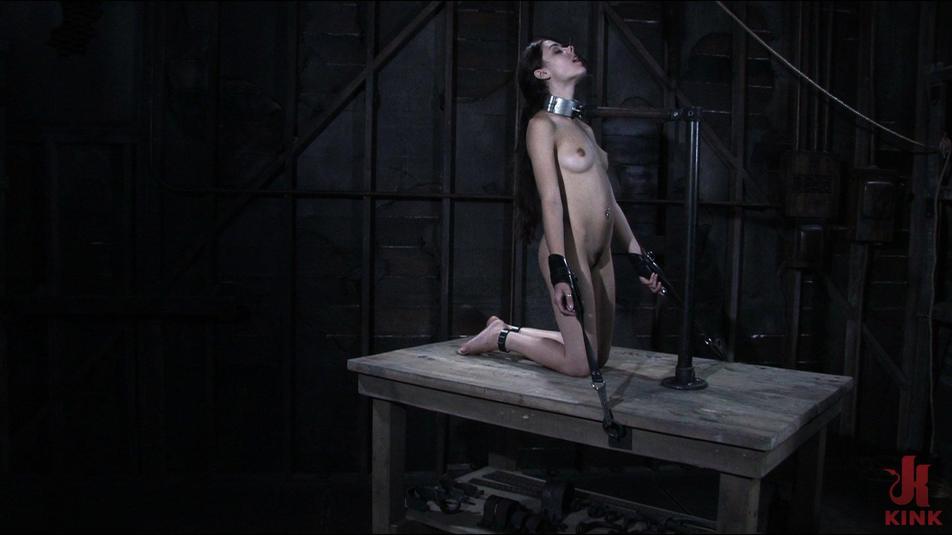 Sasha Grey Vol1 4901